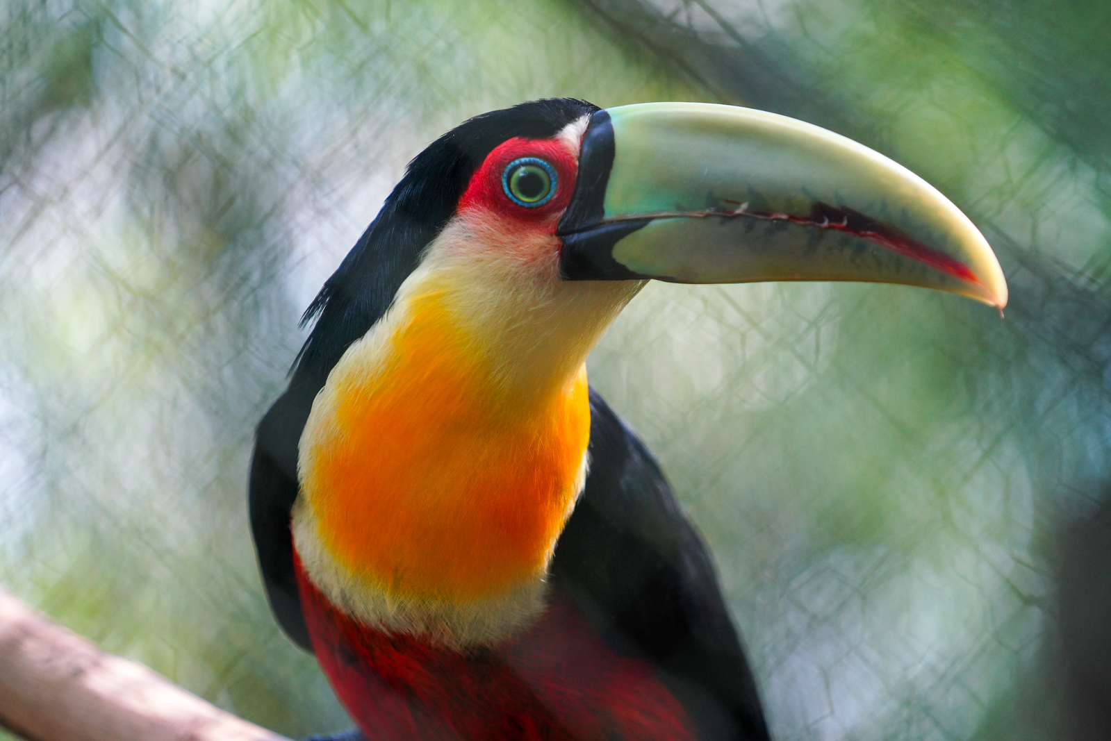 IMA - Instituto do Meio Ambiente de Santa Catarina - IMA trabalha para ...